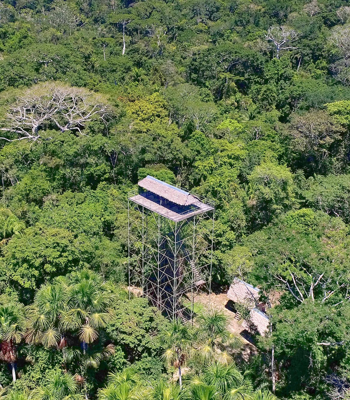 Packages | Eco Logic