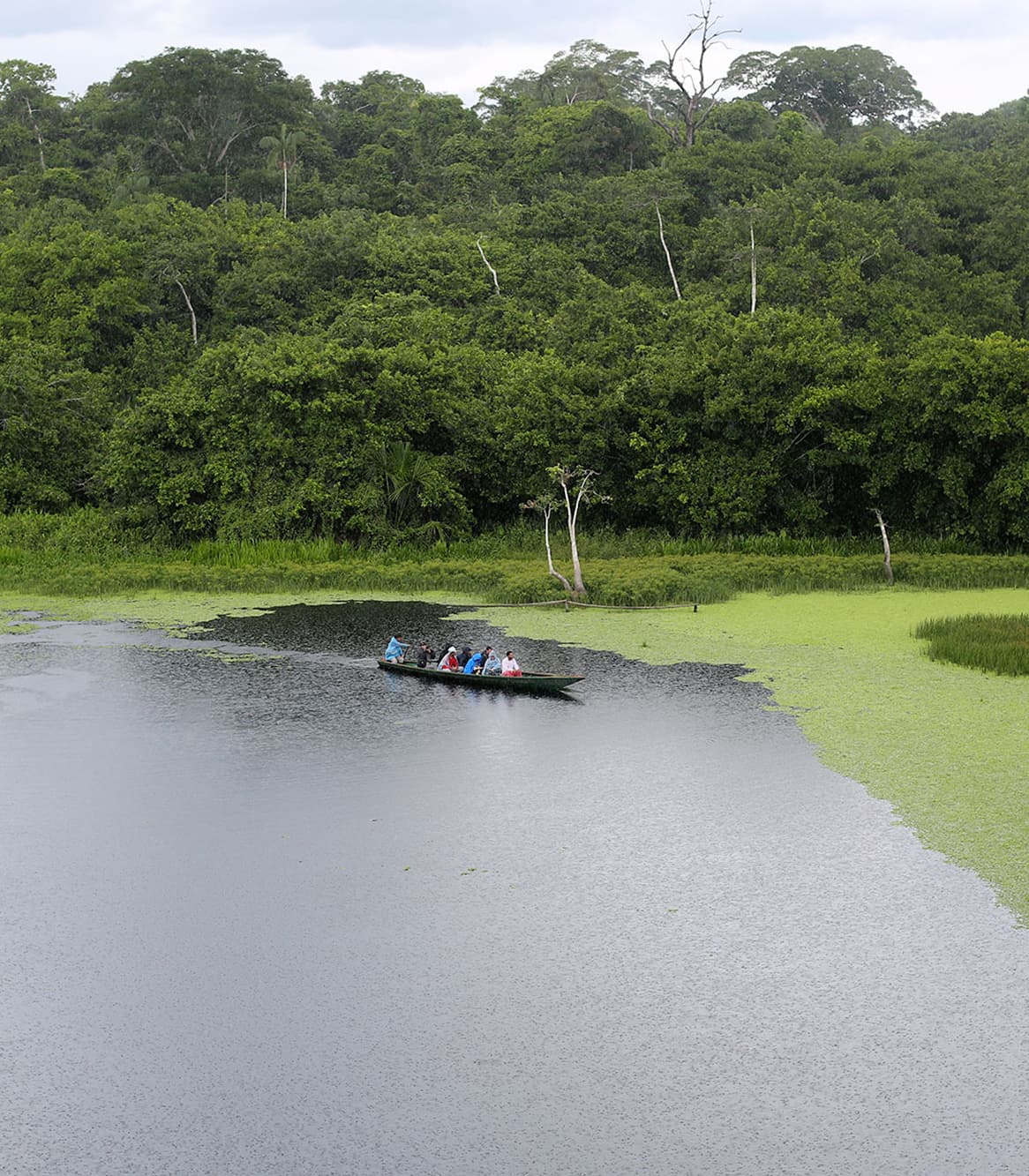 Packages | Eco Magic